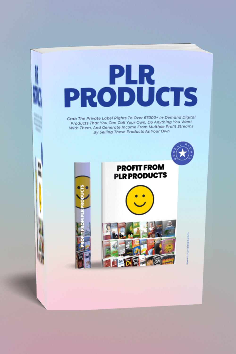 TutorialStep - Hot Demand Ready-To-Use PLR Products